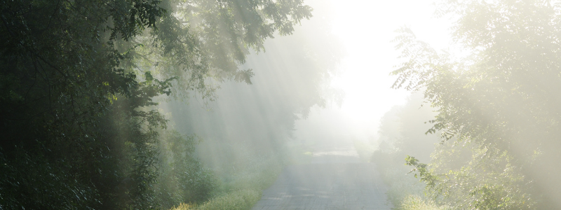 What Is the Didache & When Was the Didache Written - The Bart Ehrman Blog