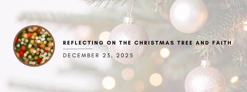 Reflecting on the Christmas Tree and Faith - The Bart Ehrman Blog